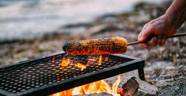 Campfire corn on the cob